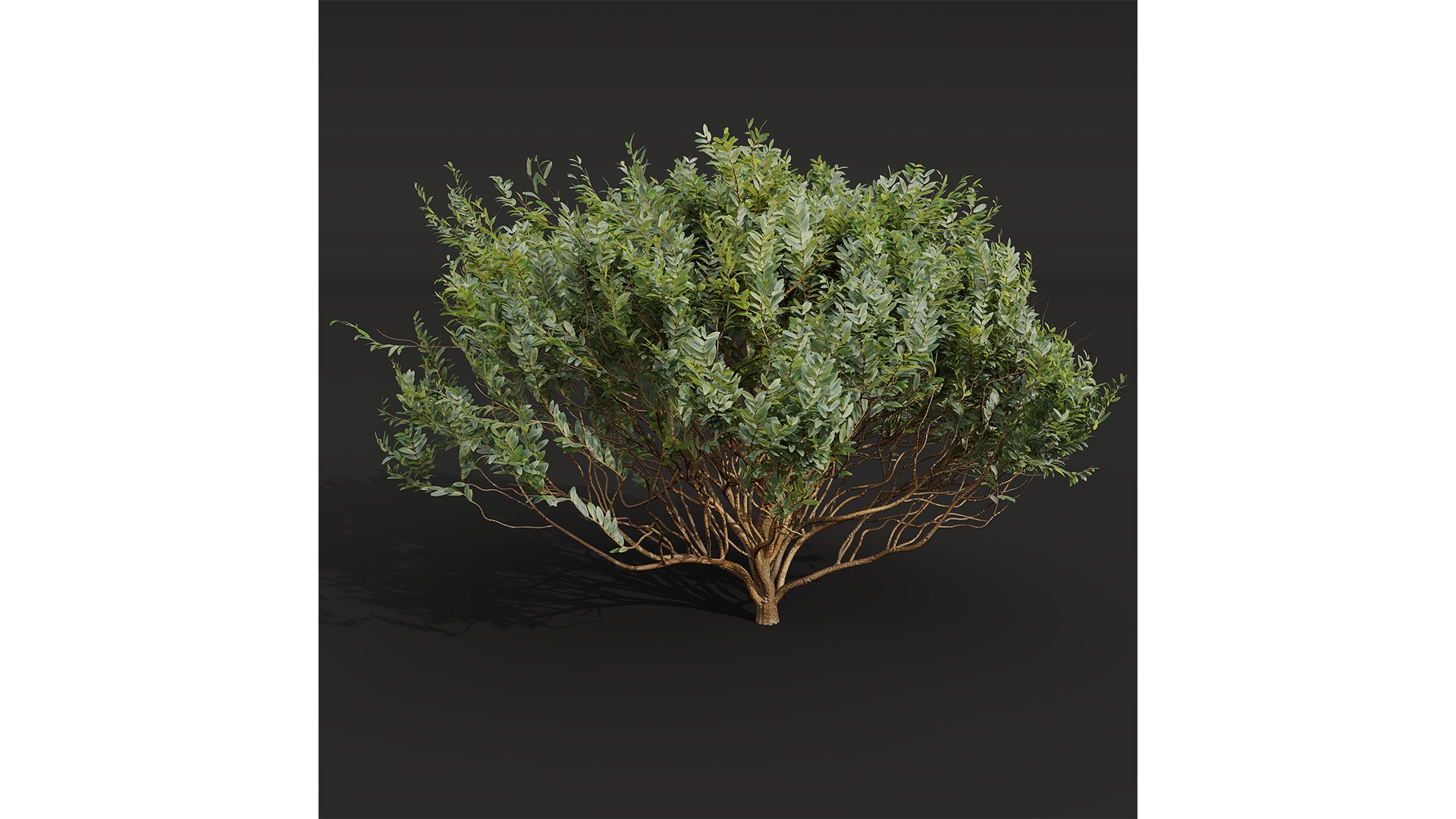 3D 6 Different SETS Of Bush Set Vol 21 Model - TurboSquid 2185823