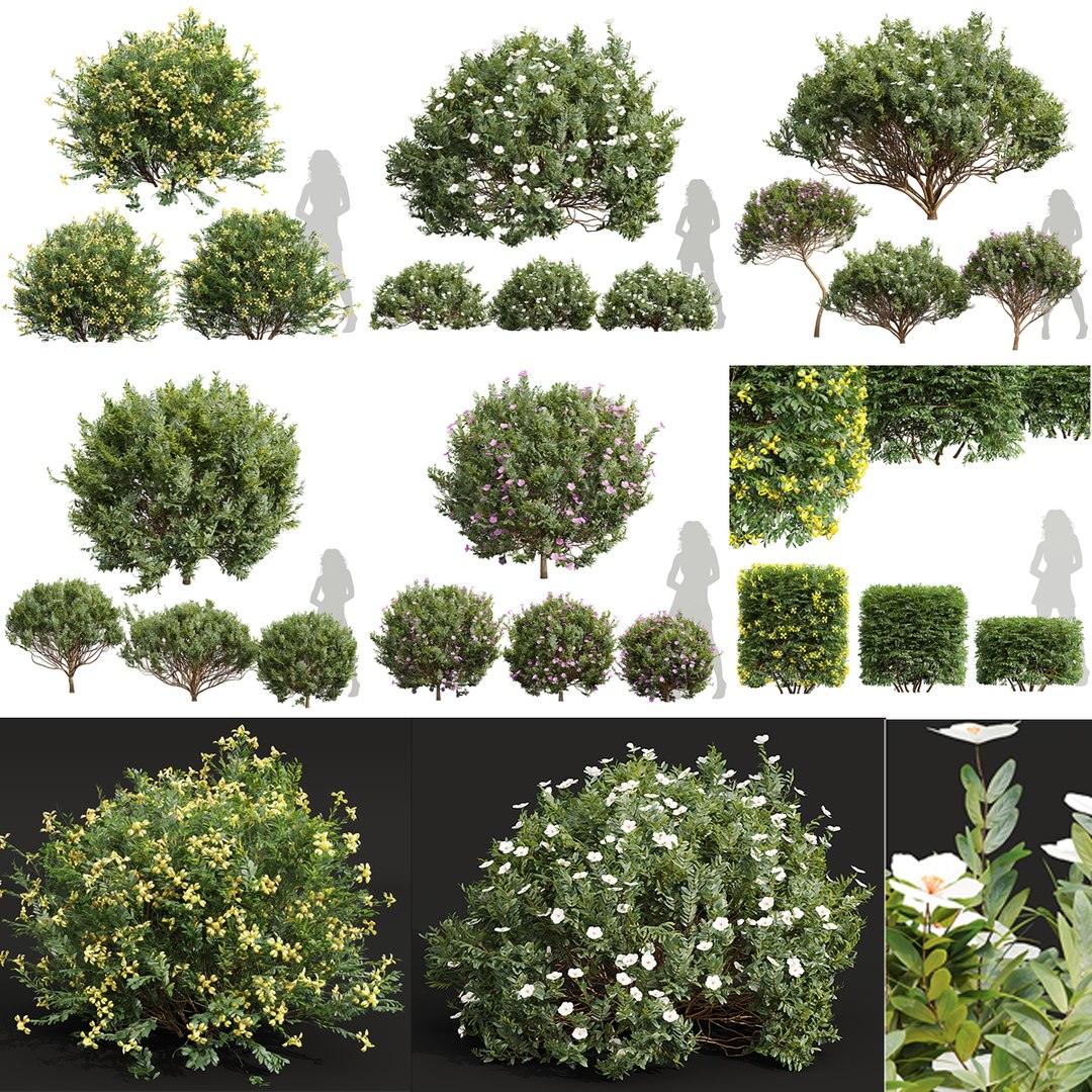3D 6 Different SETS Of Bush Set Vol 21 Model - TurboSquid 2185823
