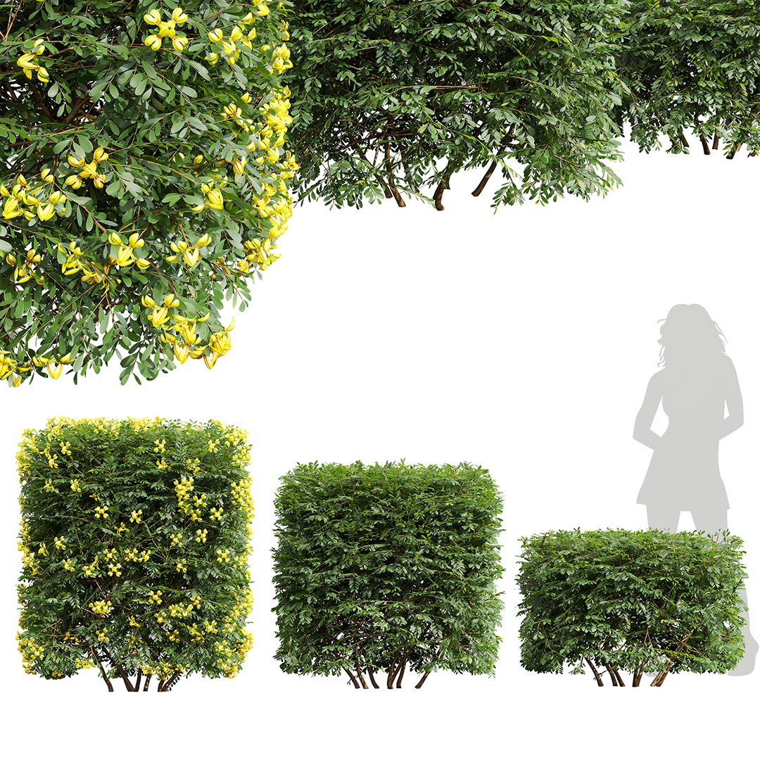 3D 6 Different SETS Of Bush Set Vol 21 Model - TurboSquid 2185823