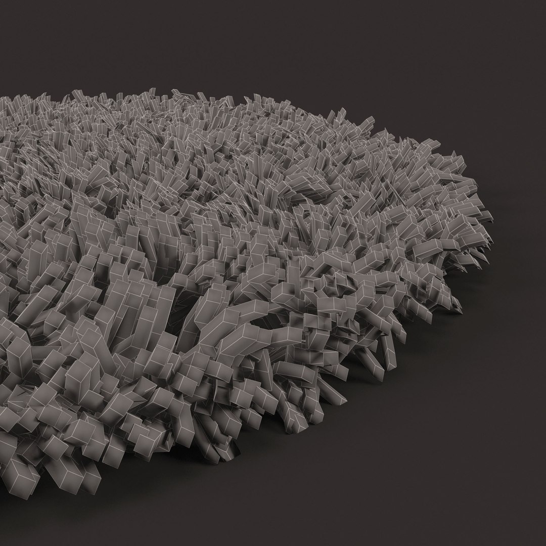 3ds Max Carpet