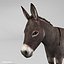Maya Rigged Donkey