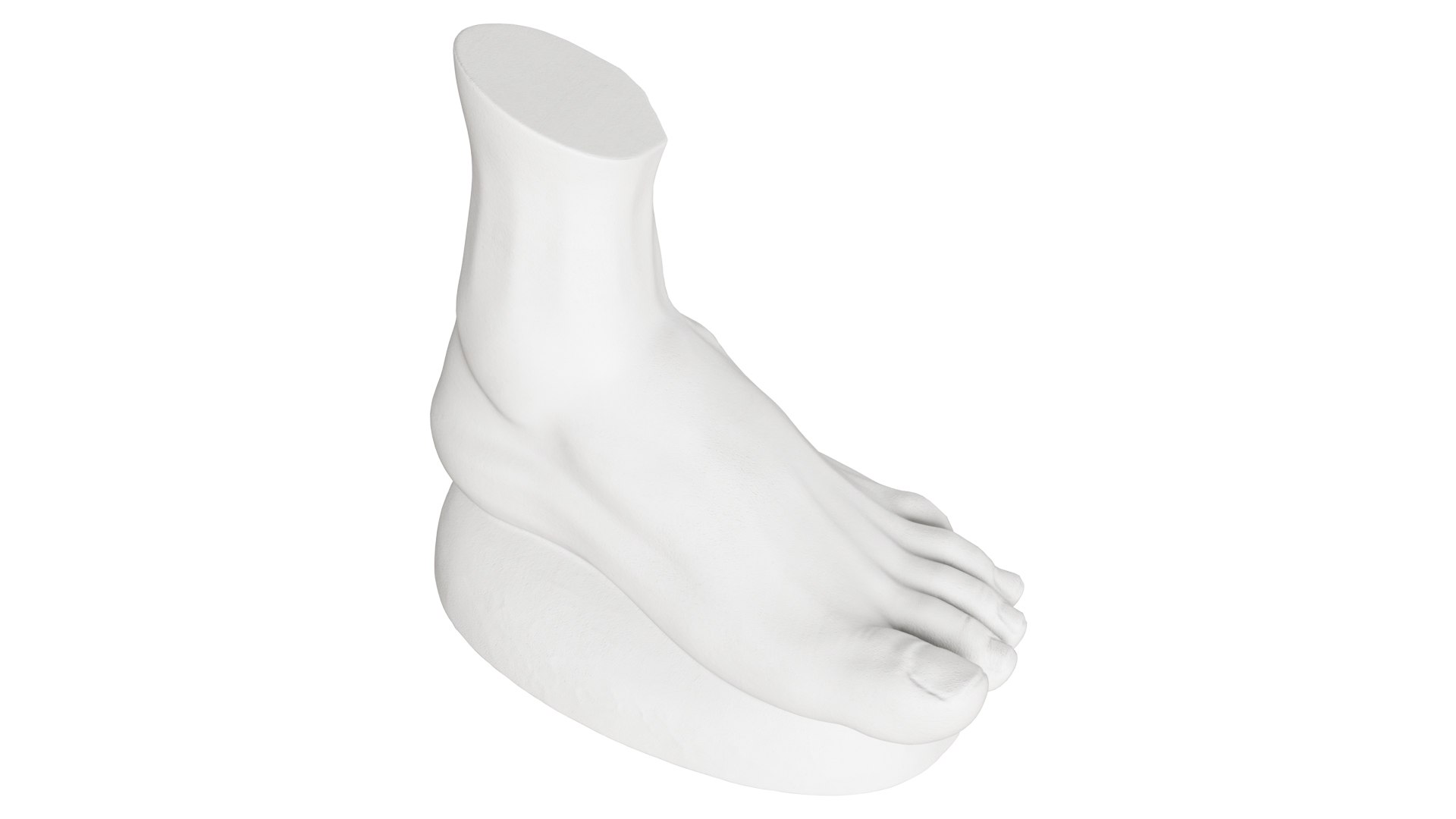 Plaster Foot 3D Model - TurboSquid 2473948