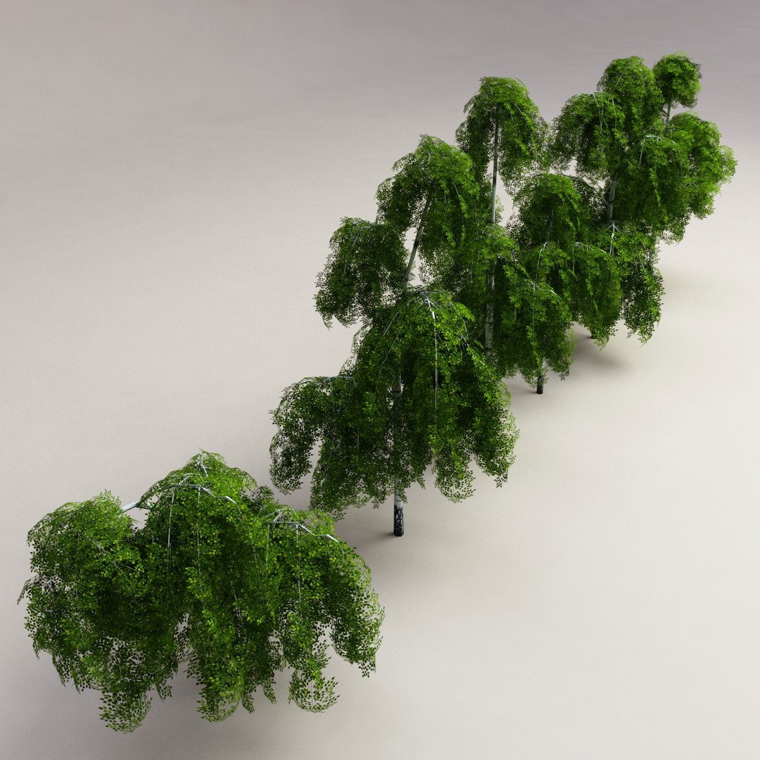3d Model Low-poly Birch Trees