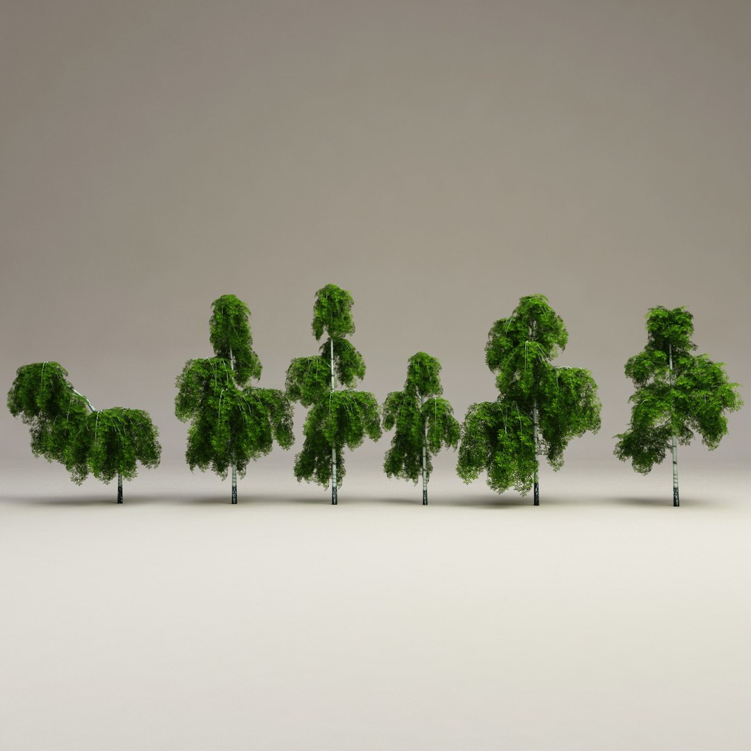 3d Model Low-poly Birch Trees