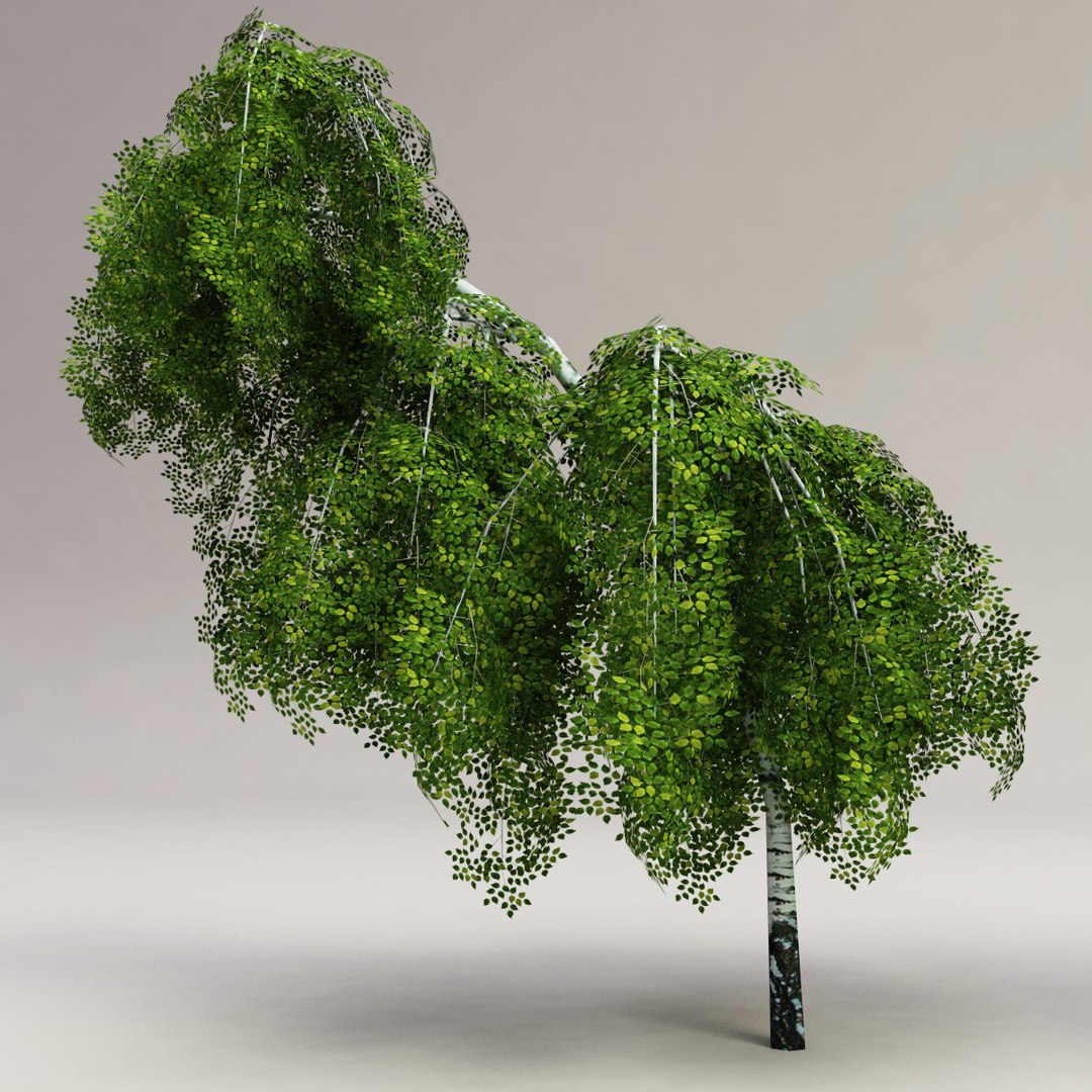 3d Model Low-poly Birch Trees