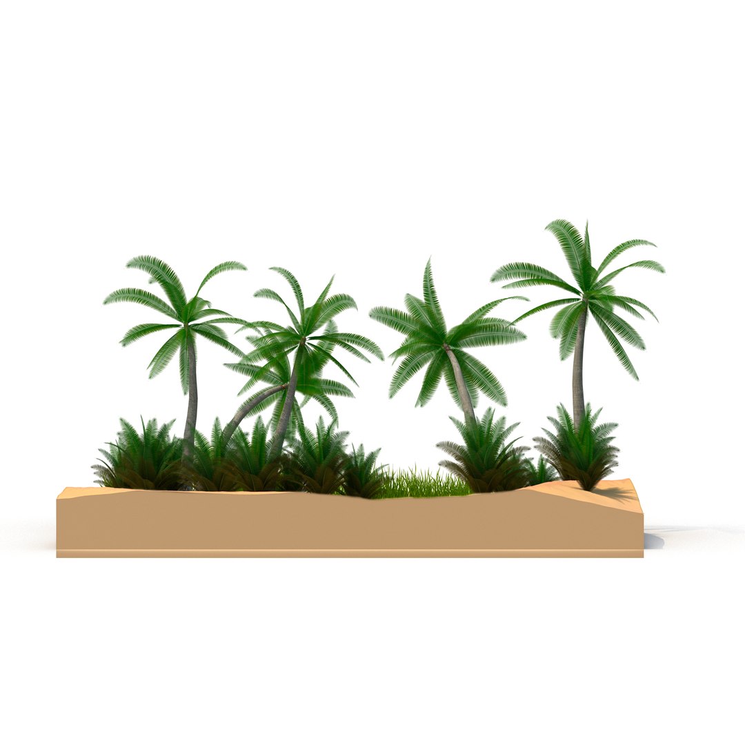 3d desert oasis model