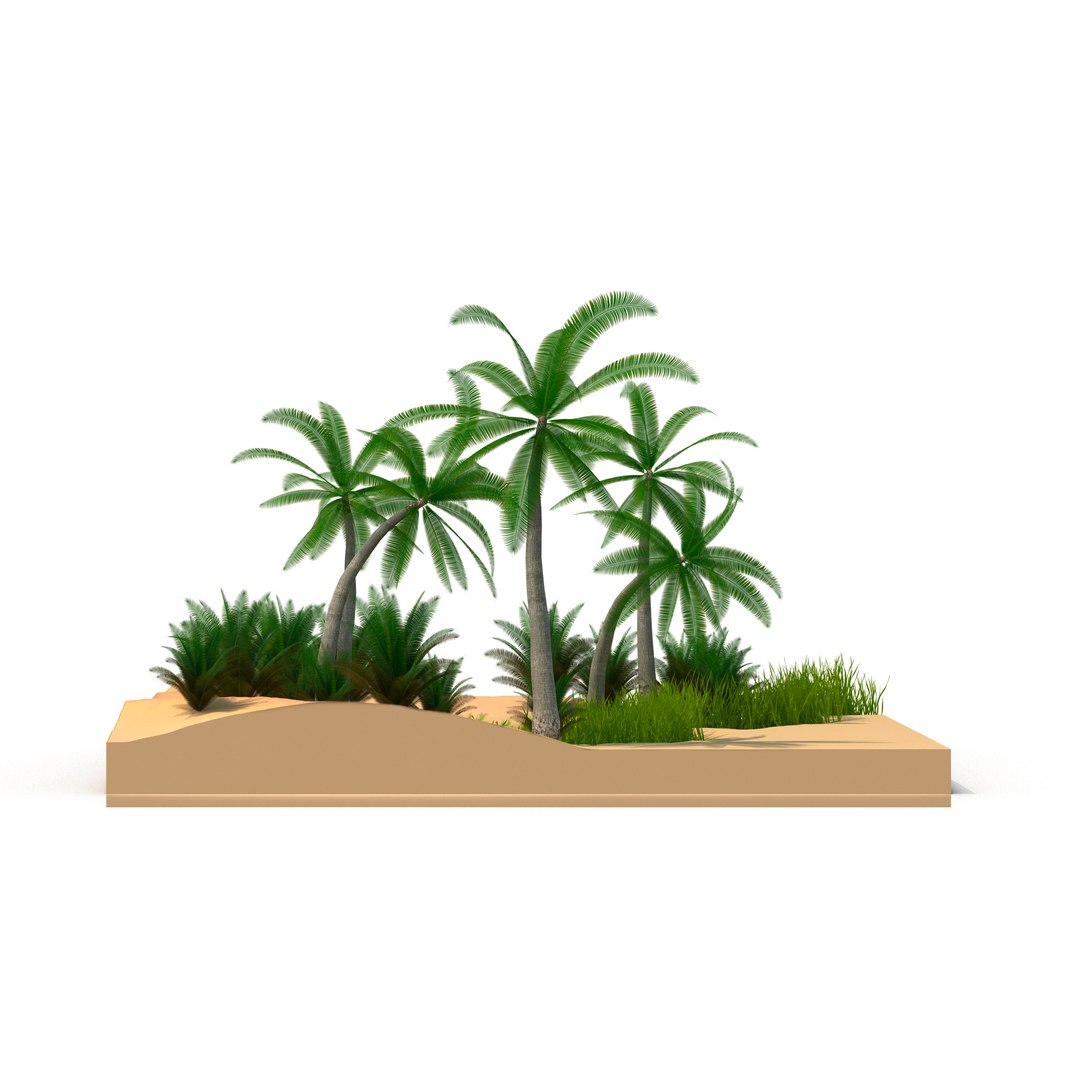 3d desert oasis model