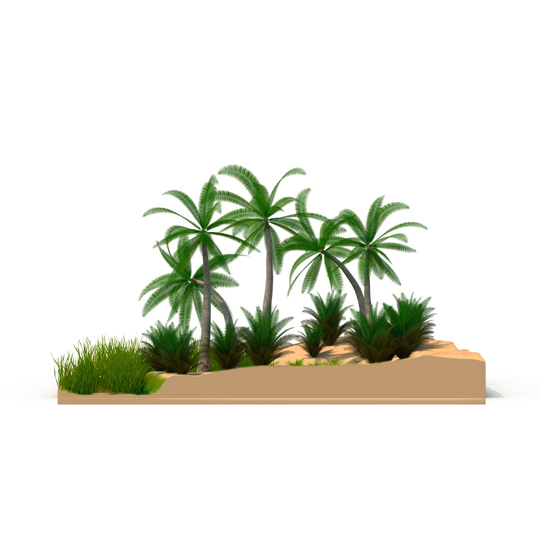 3d desert oasis model