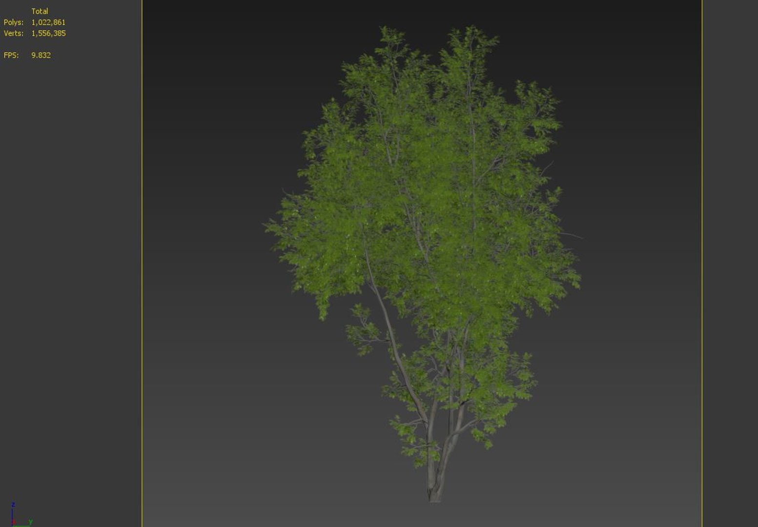 3D American Beech 3 Model - TurboSquid 1949443