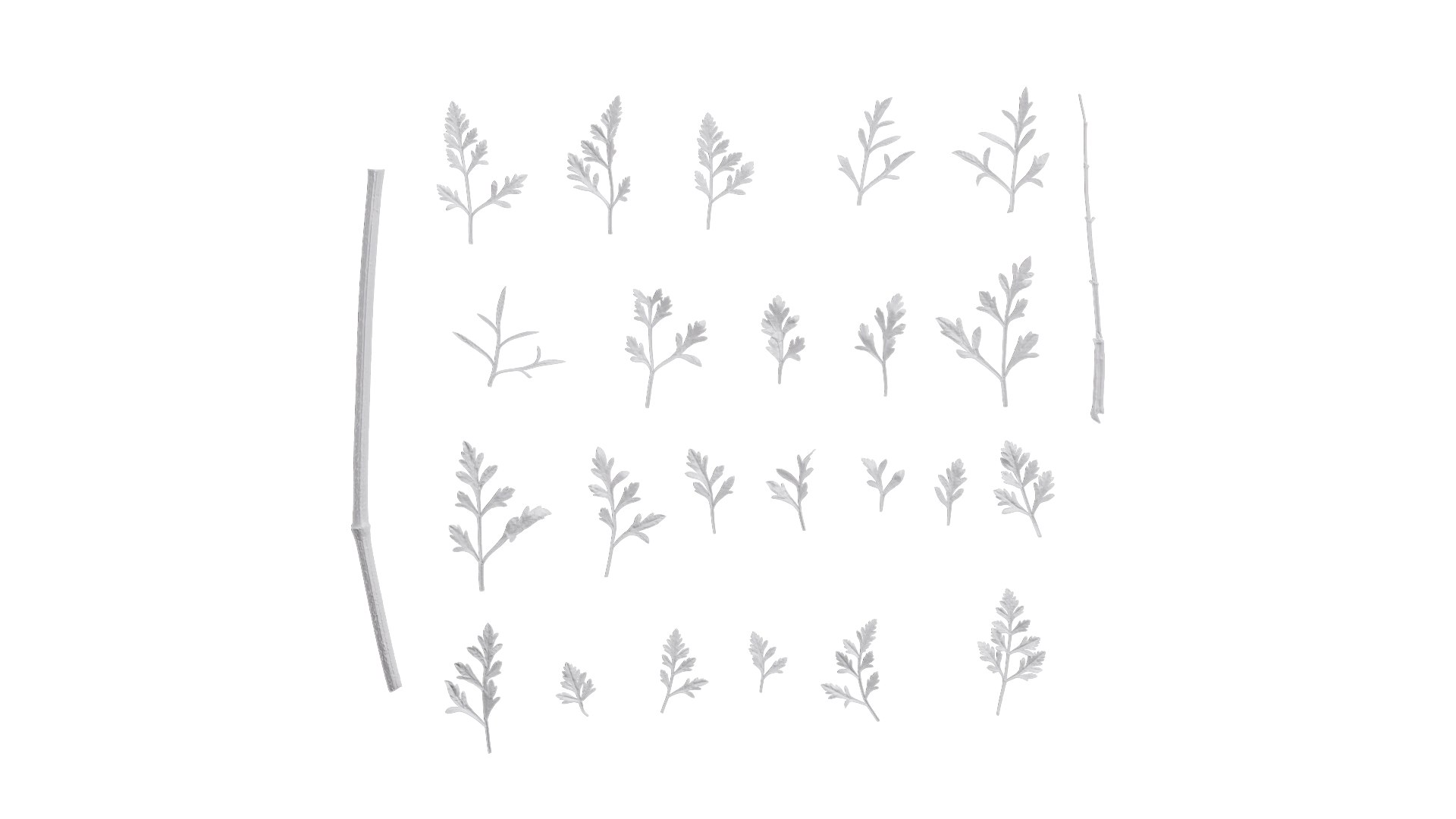 Anydrafts Ammi Black Knight Leaf 01 Textures 3D - TurboSquid 2352172