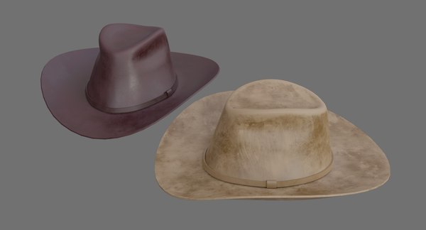 3D cowboy hat 1d model - TurboSquid 1247469