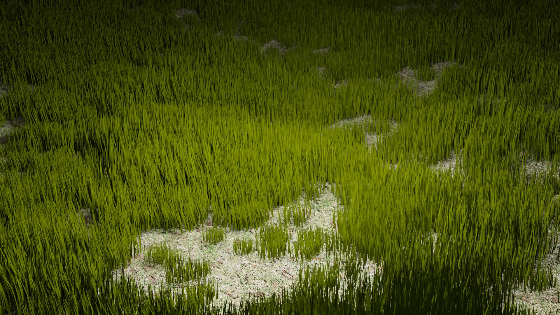 Free 3D Model Grass - TurboSquid 1756934