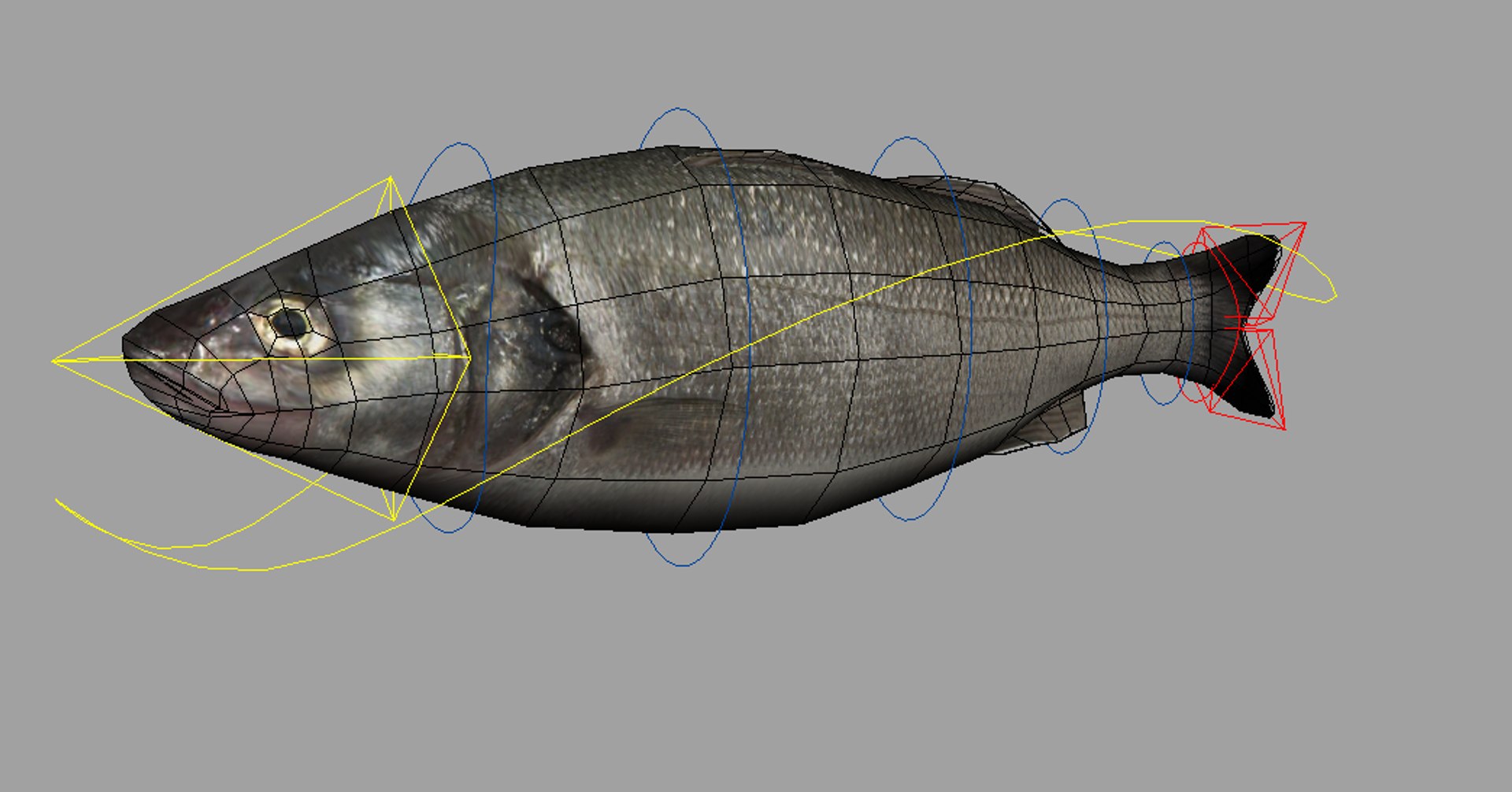 Fish Rigged 3d Ma