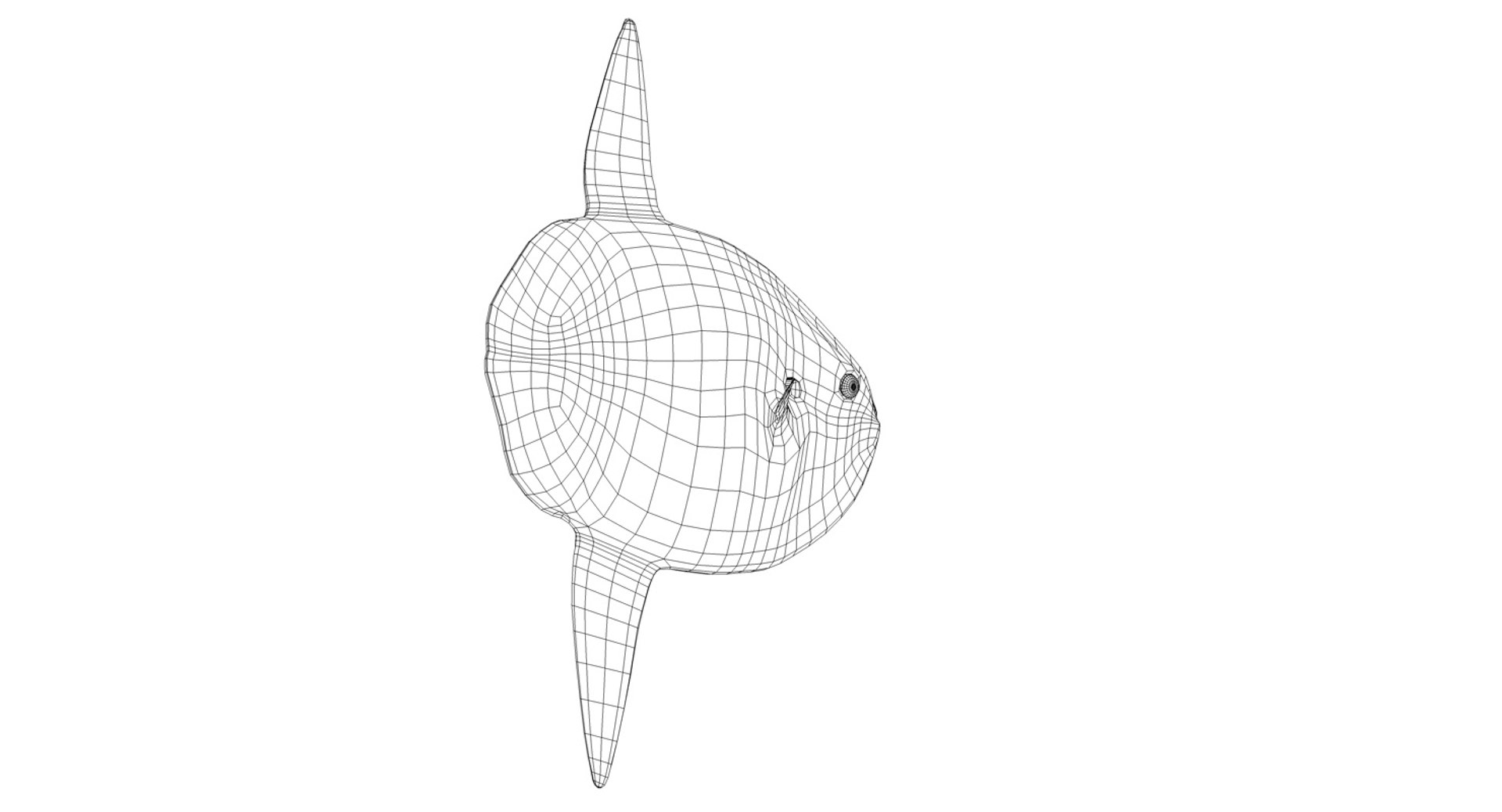 3D Ocean Sunfish Mola - TurboSquid 1199699