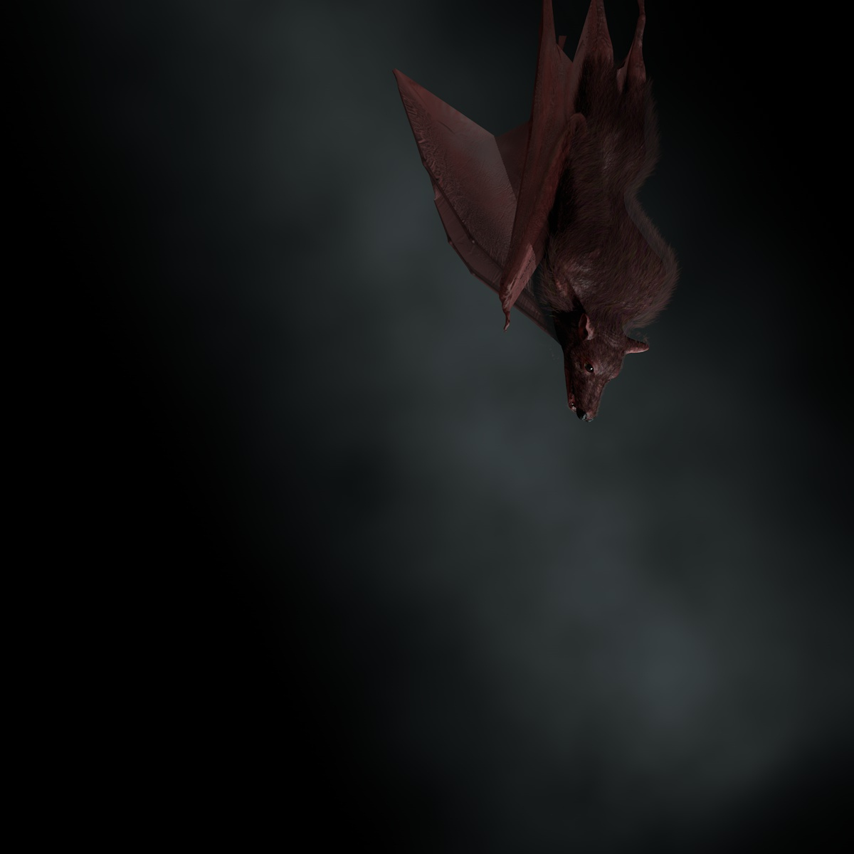 flying fox 3d model