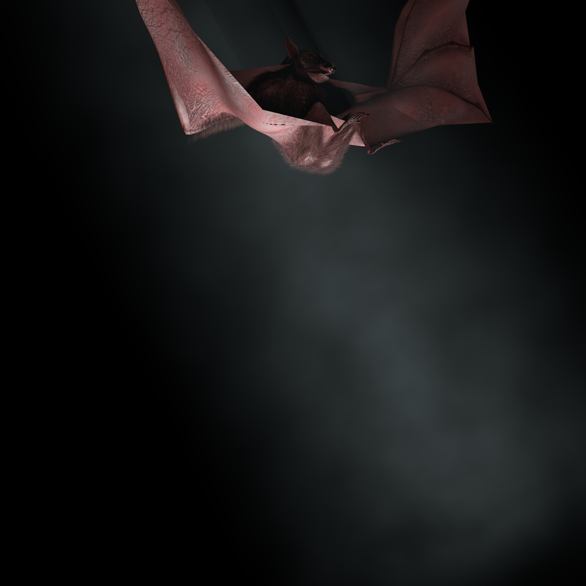 flying fox 3d model