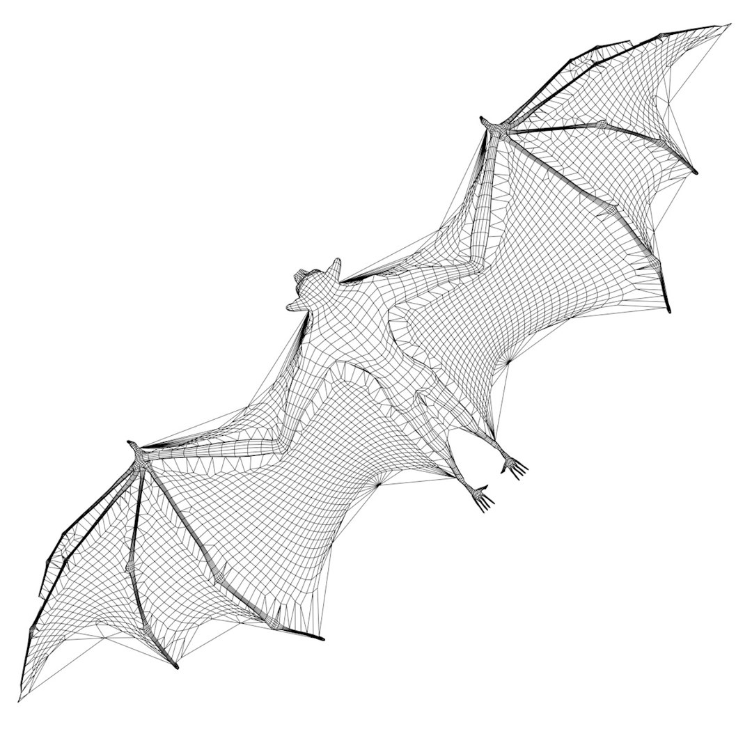 Flying Fox 3d Model