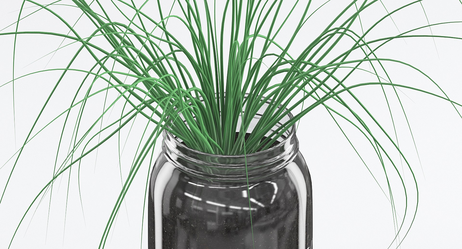 3D Model Chives Glass Jar - TurboSquid 1417366