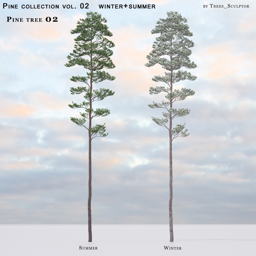 pine tree 3d model
