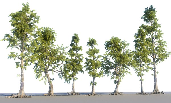 3D pine tree pack 7 - TurboSquid 1364485