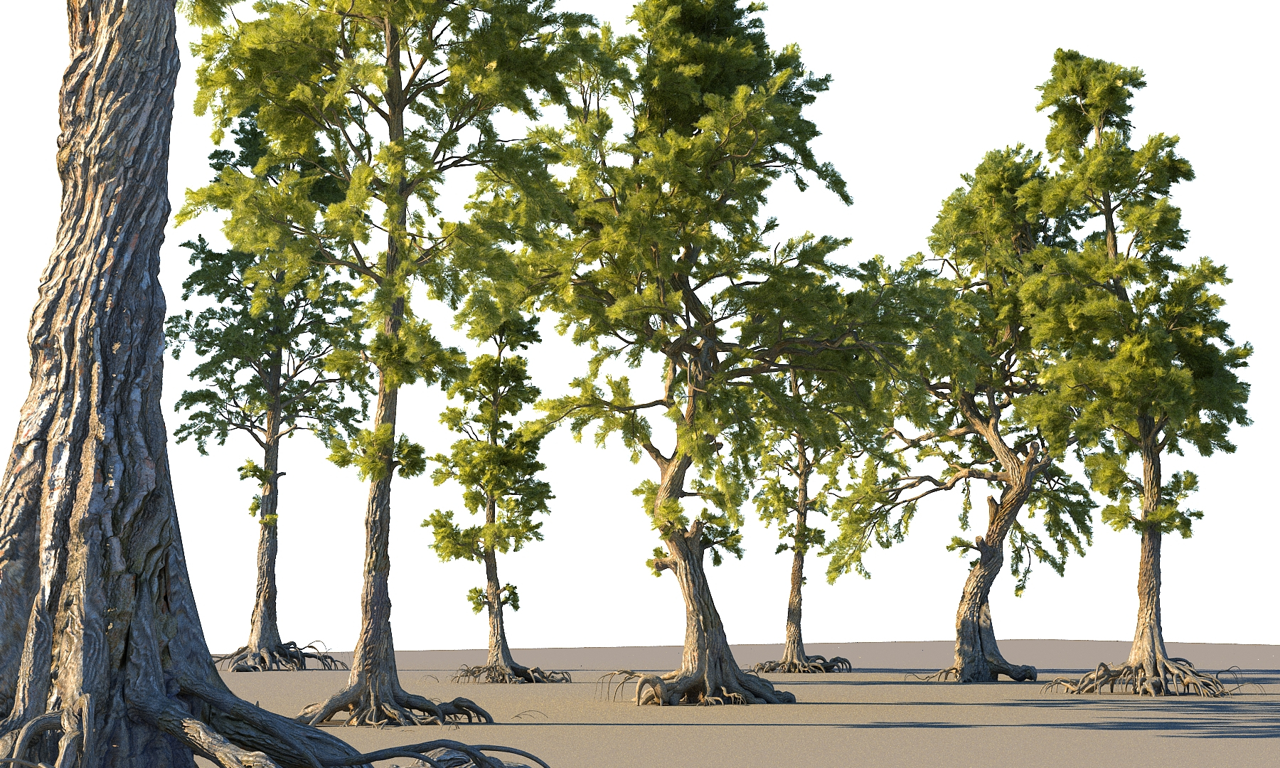 3D pine tree pack 7 - TurboSquid 1364485