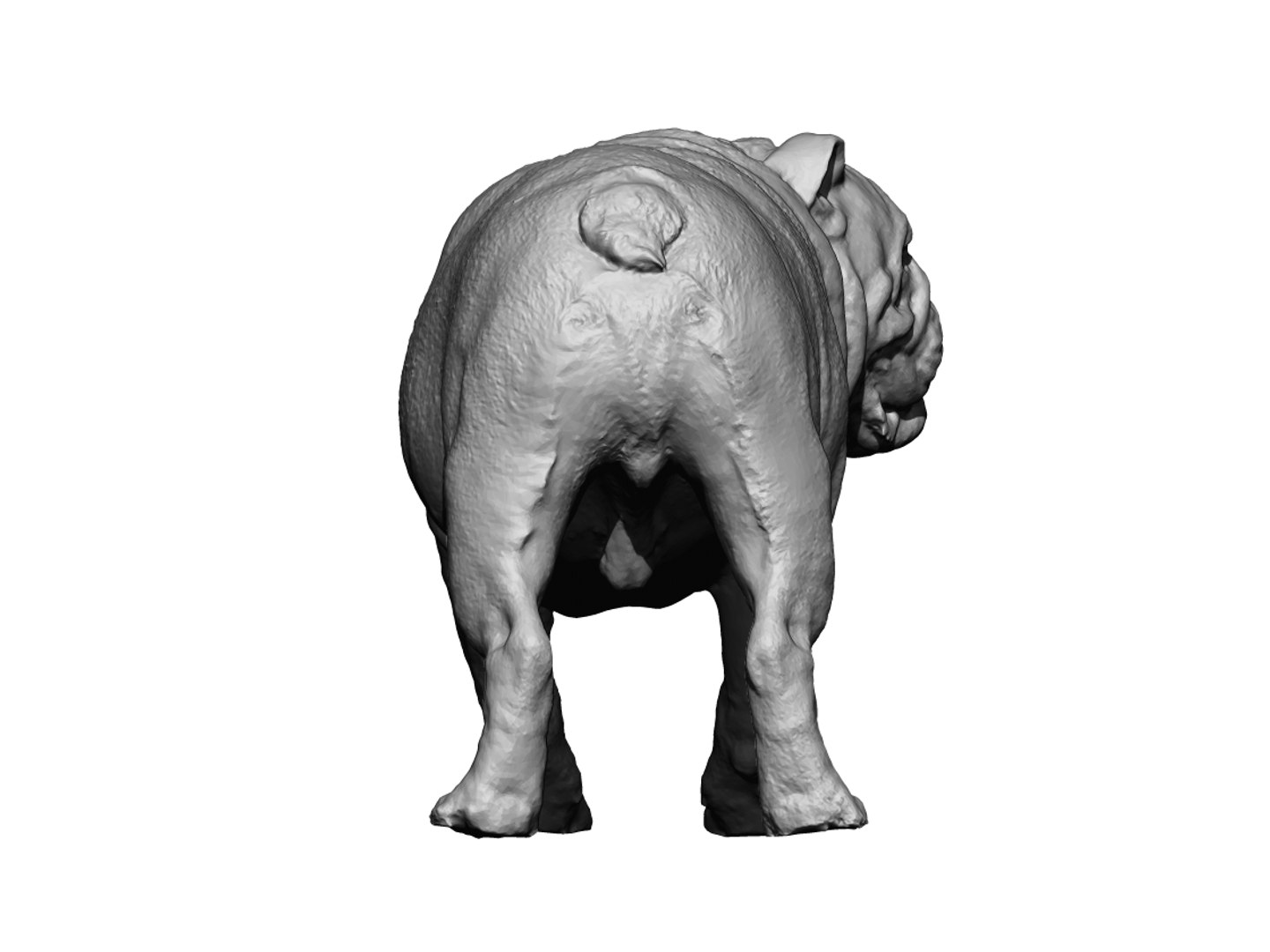 Dog Scanned Photogrammetry Model - TurboSquid 1349176