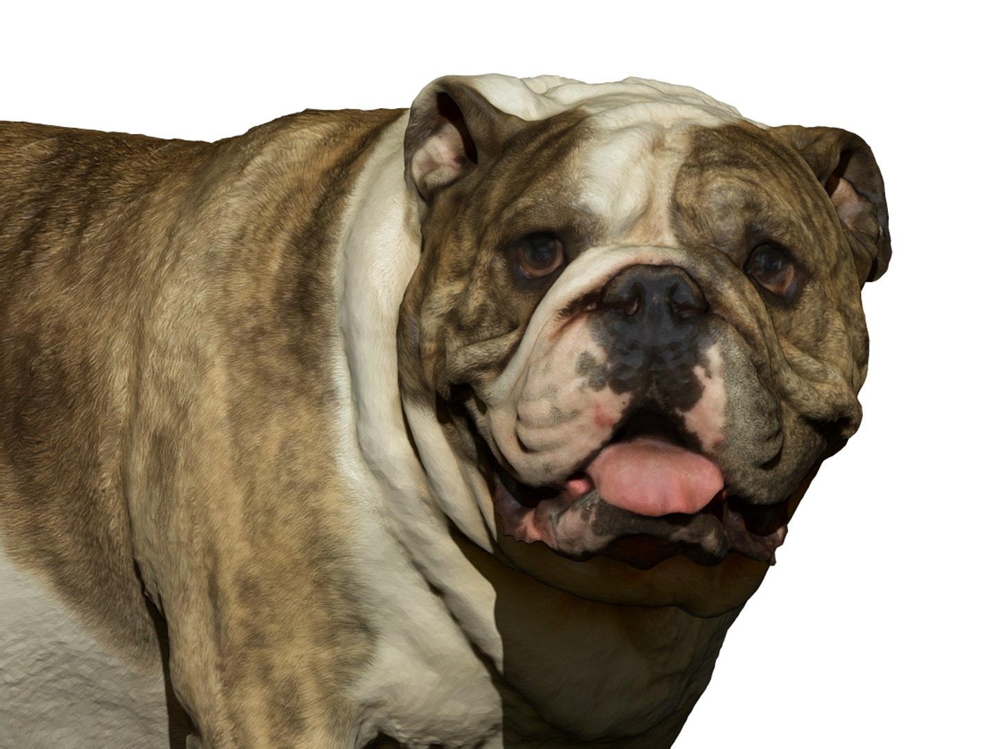 Dog Scanned Photogrammetry Model - TurboSquid 1349176