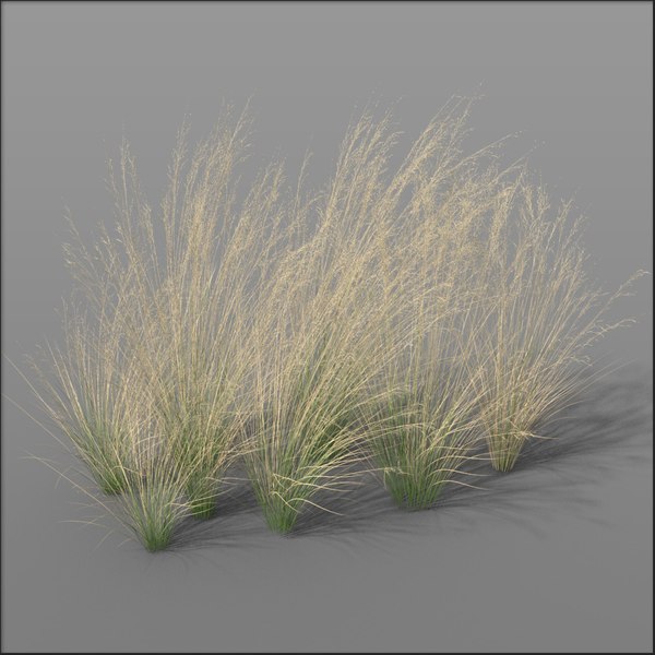 3d model dandelion blossom seeds