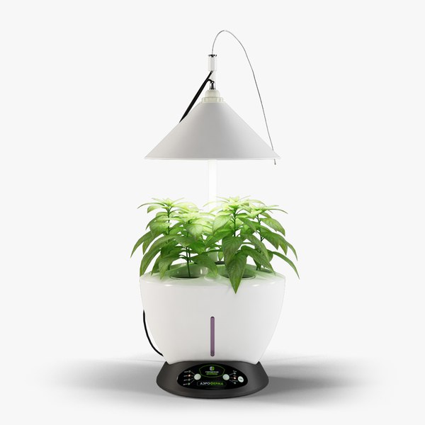 obj russian revone magic garden