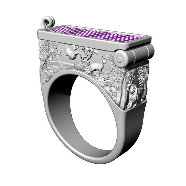 modelo 3d Secret chamber Ring 3D-print model file - TurboSquid 2106750