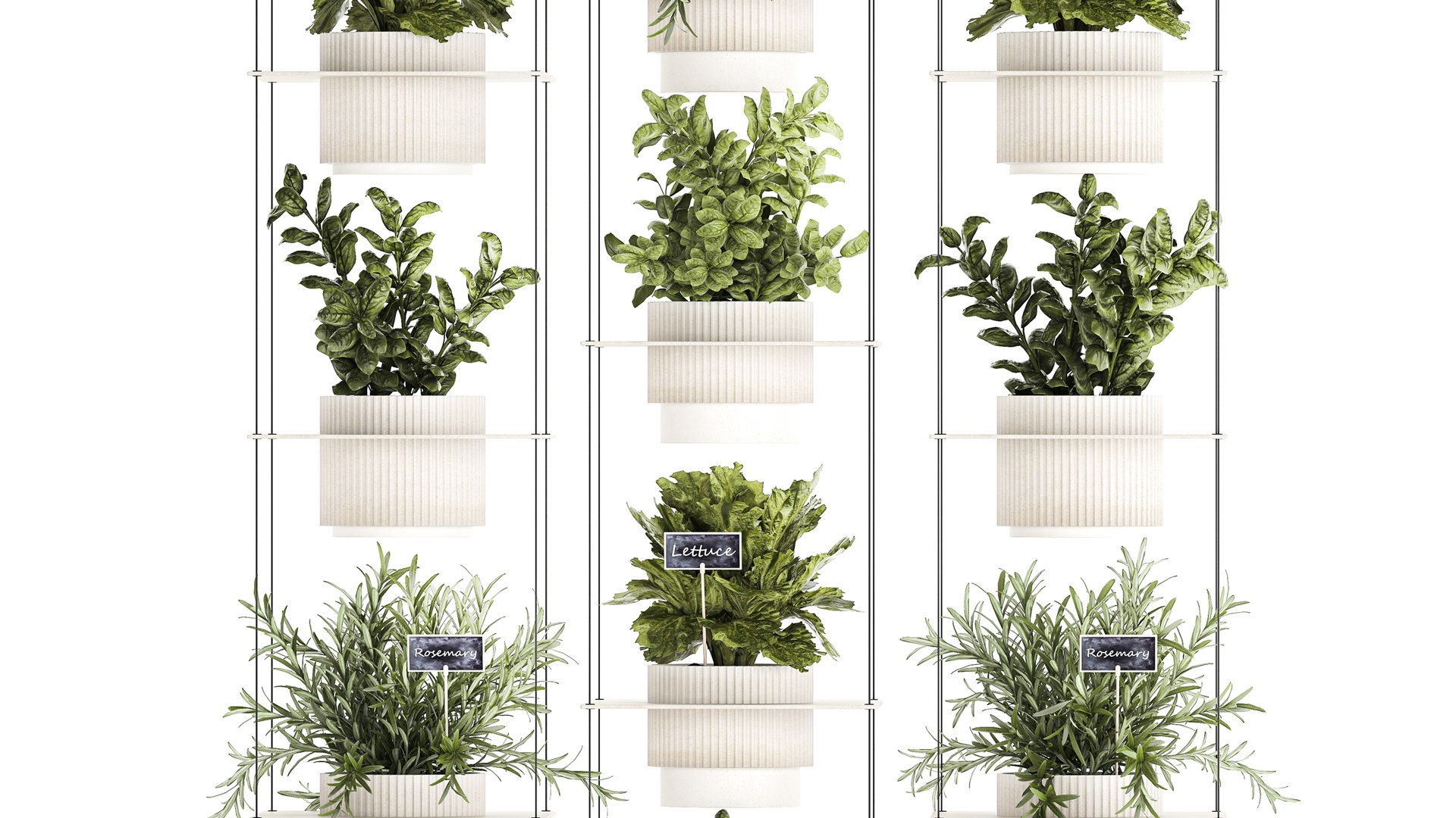 Kitchen Mini Vegetable Garden Rosemary Basil Pot 1413 Model ...