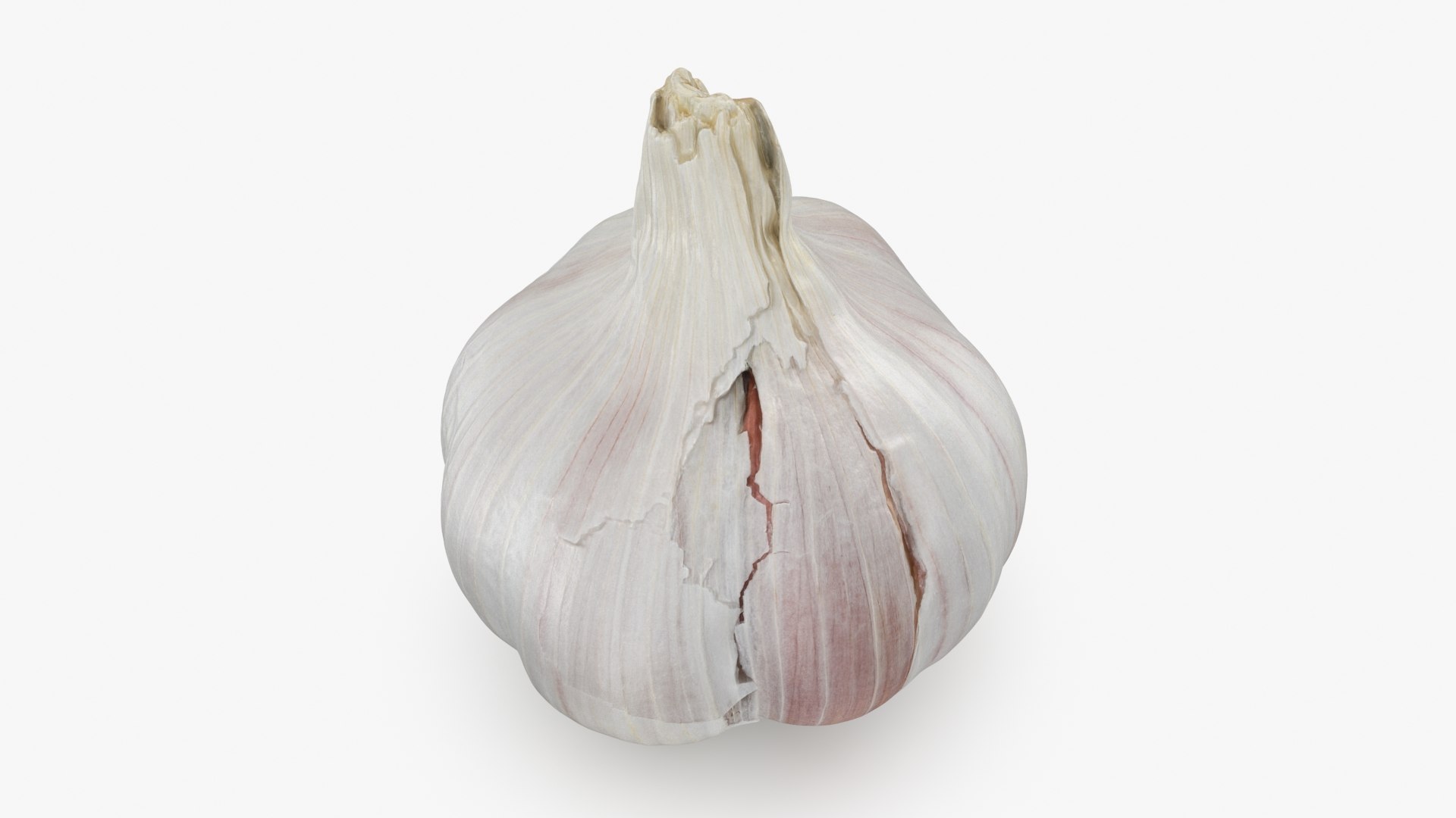 3D Garlic Collection 4 - TurboSquid 2296921