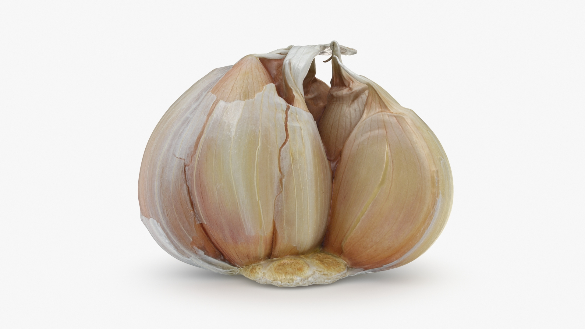 3D Garlic Collection 4 - TurboSquid 2296921