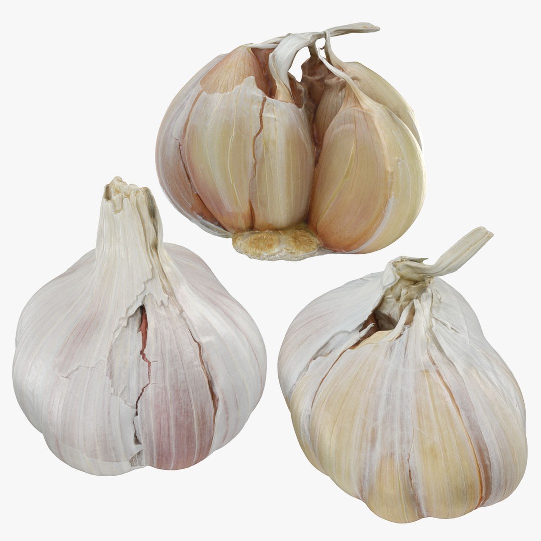 3D Garlic Collection 4 - TurboSquid 2296921