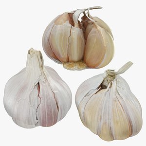 3D Garlic Models - Browse & Download Formats - TurboSquid
