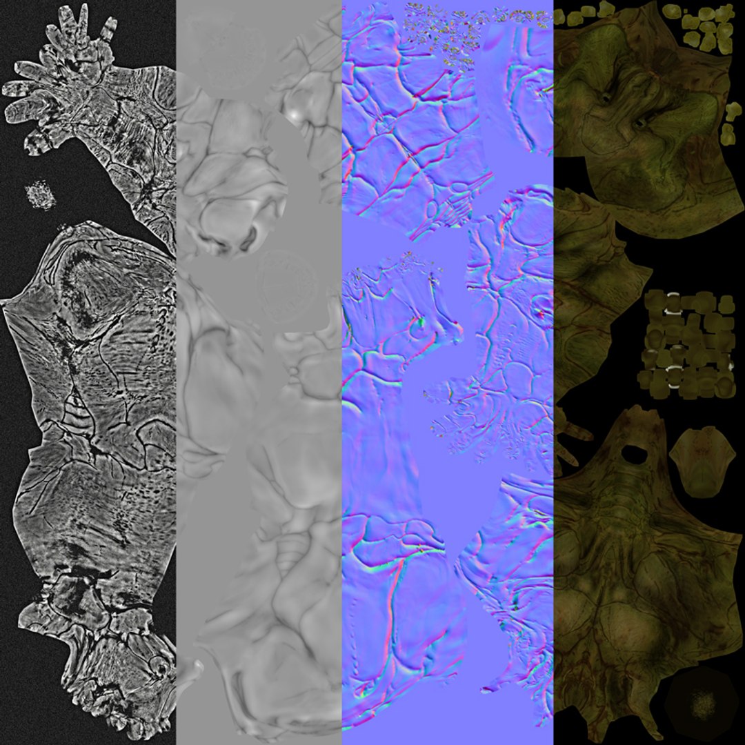 Insect Creature 3D Model - TurboSquid 1856797