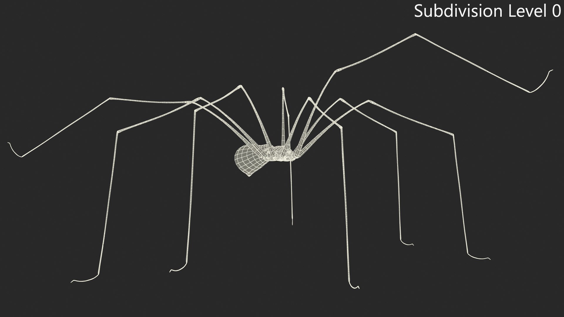 Long-legged House Spider Rigged For Cinema 4D 3D Model - TurboSquid 2275040