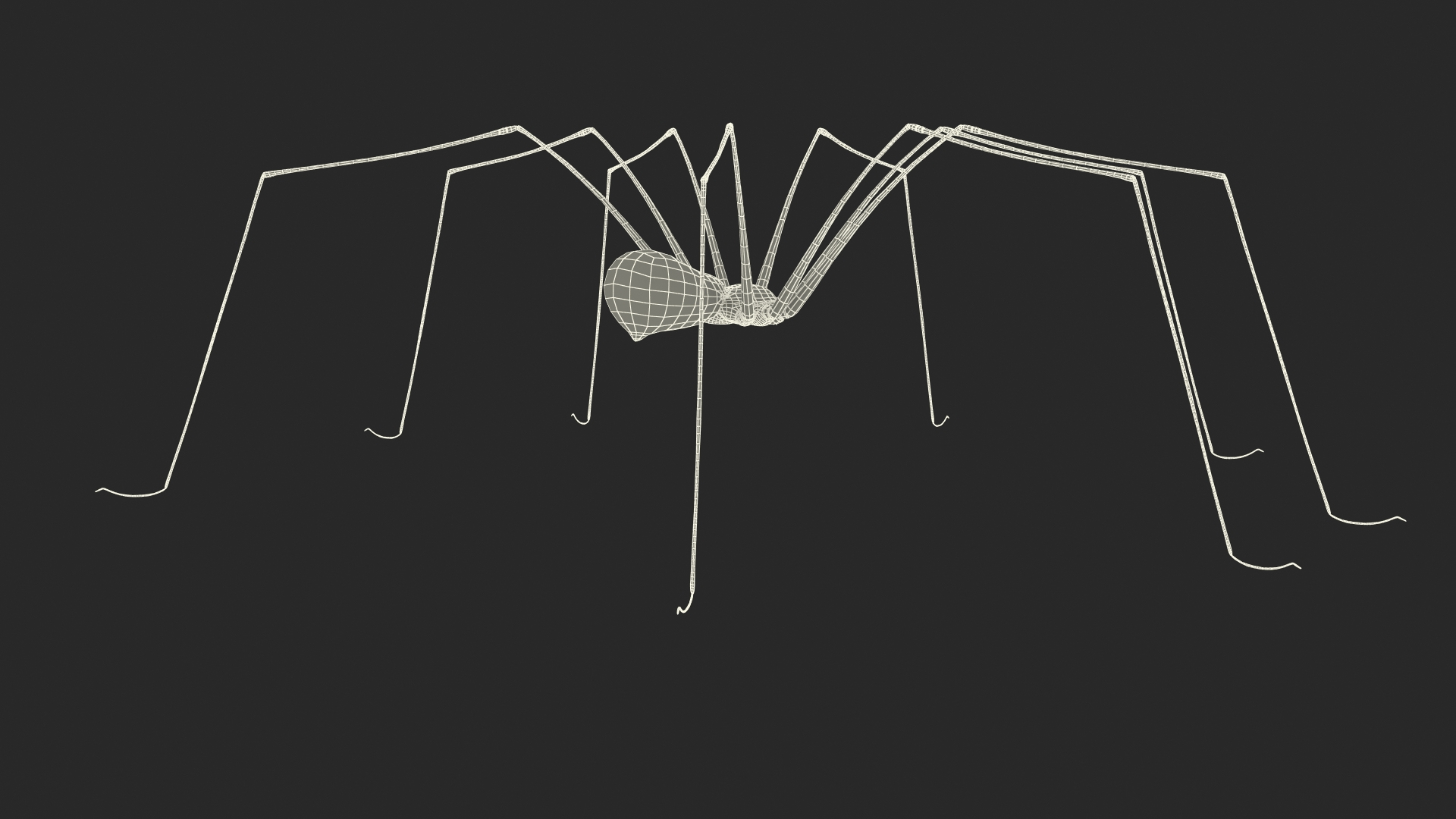 Long-legged House Spider Rigged For Cinema 4D 3D Model - TurboSquid 2275040