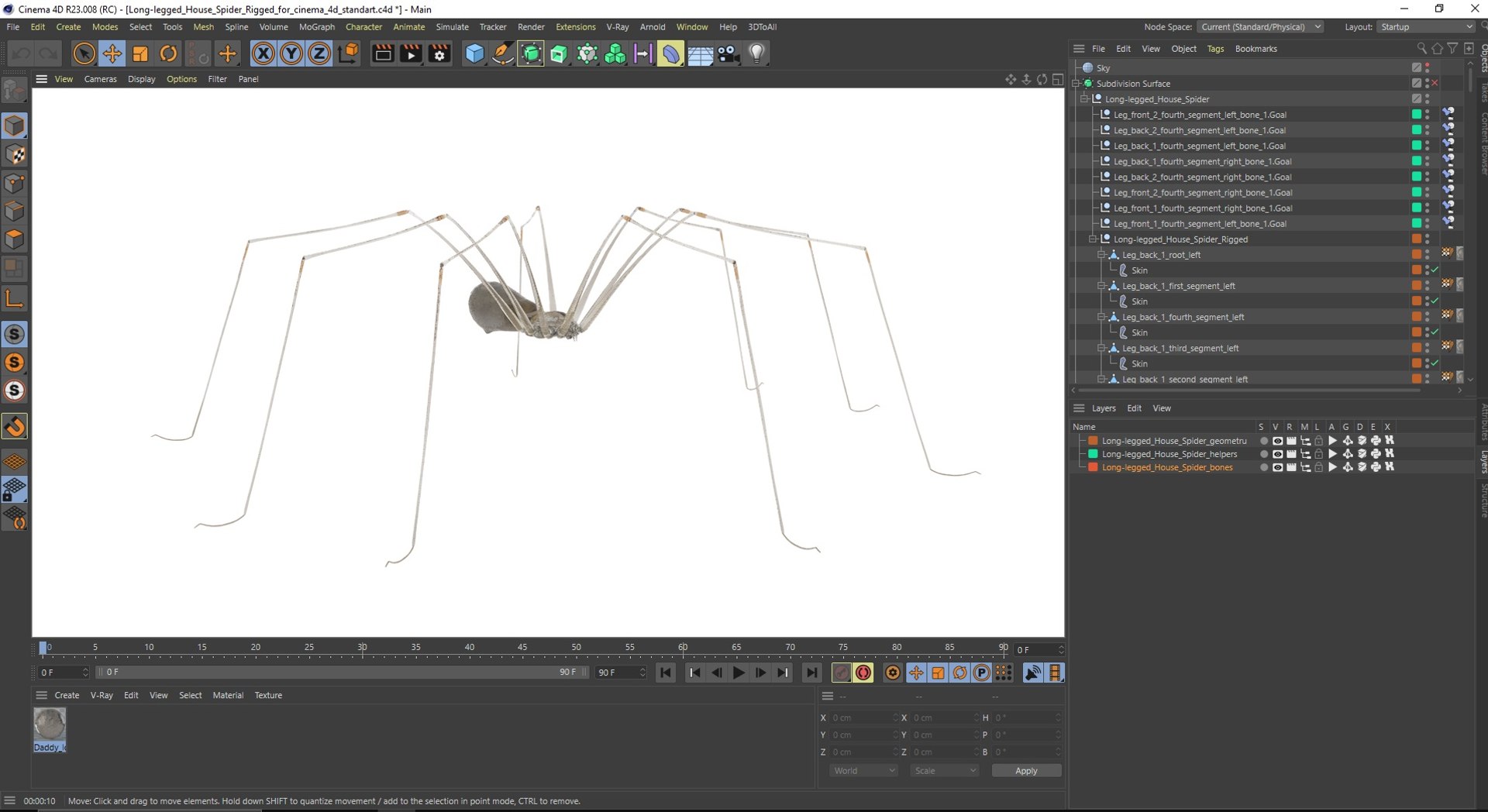 Long-legged House Spider Rigged For Cinema 4D 3D Model - TurboSquid 2275040