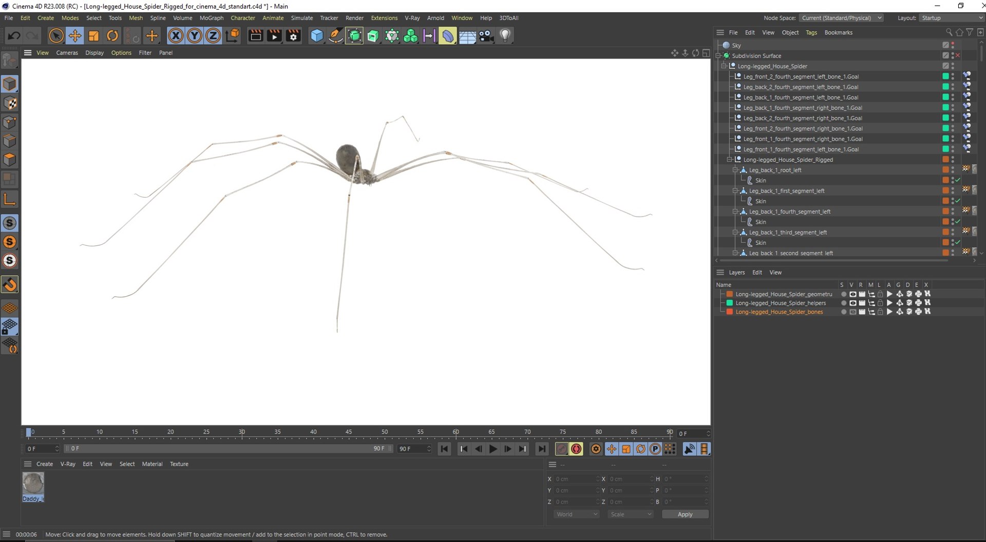 Long-legged House Spider Rigged For Cinema 4D 3D Model - TurboSquid 2275040