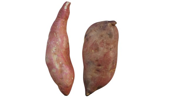 3D Sweet potato 03 model - TurboSquid 1903524