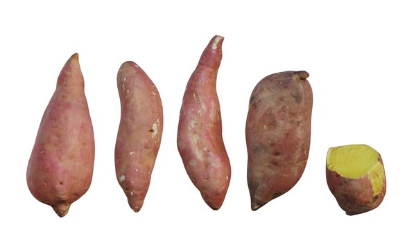3D Sweet potato 03 model - TurboSquid 1903524