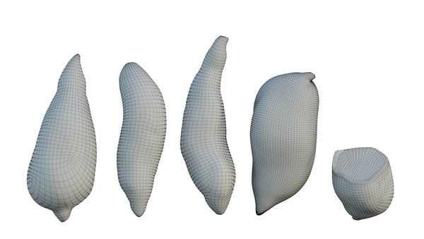 3D Sweet potato 03 model - TurboSquid 1903524