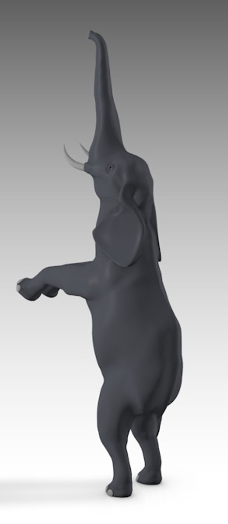 Elephant Model - TurboSquid 1299867