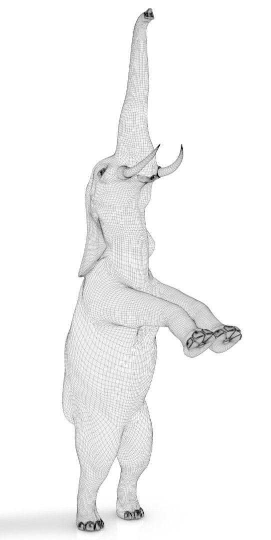 Elephant Model - TurboSquid 1299867