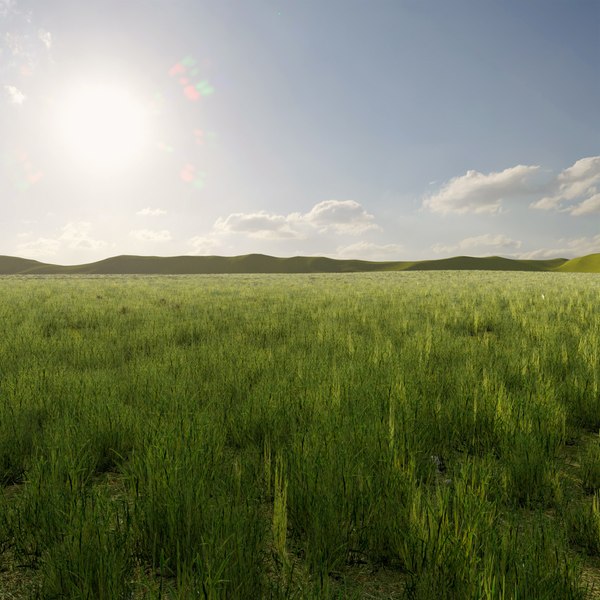 Grass Landscape model - TurboSquid 2002277