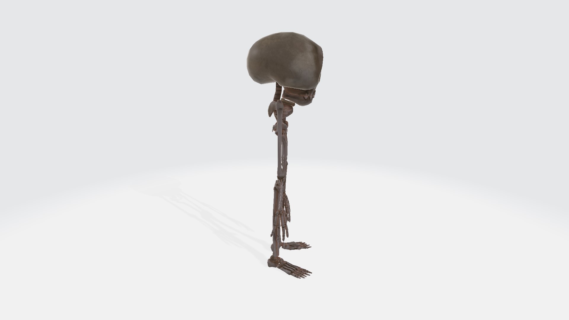 Alien Skeleton 3D Model - TurboSquid 2368945