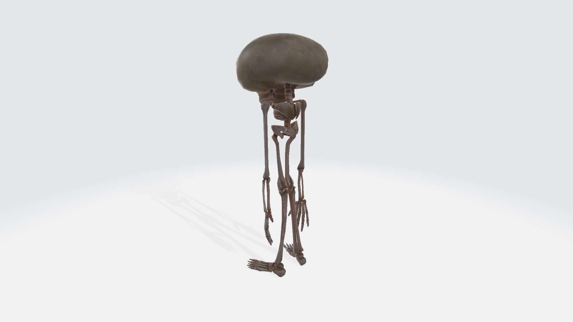 Alien Skeleton 3D Model - TurboSquid 2368945