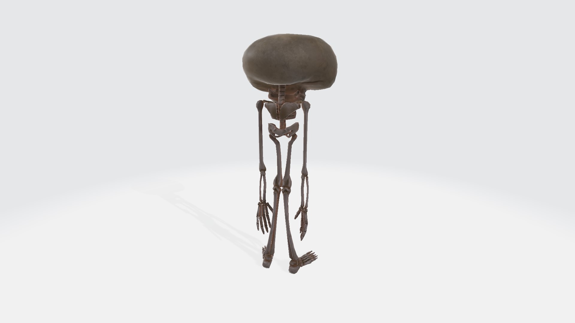 Alien Skeleton 3D Model - TurboSquid 2368945