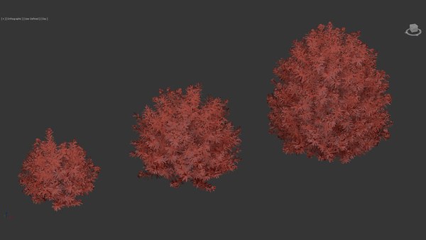 modelo 3d Nerium Oleander Oleander - TurboSquid 2056273